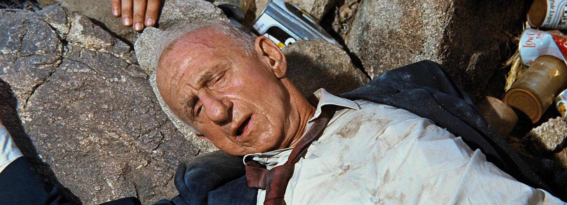 It's A Mad Mad Mad Mad World -- The Cast